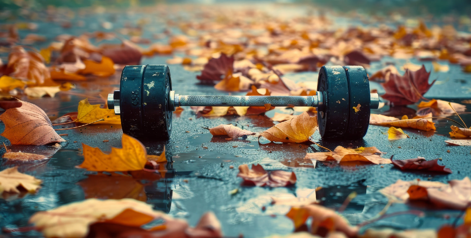 Fall into Fitness: Essential Gym Bag Tips for the Season – Motion Beauty
